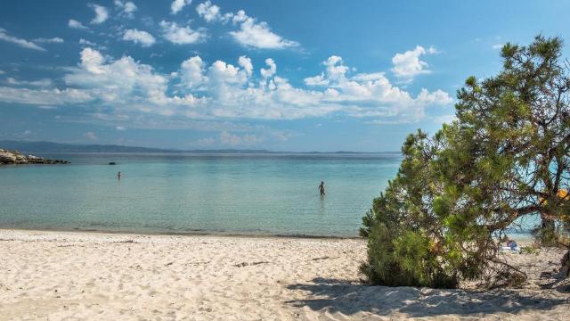 Hotel REMA Vurvuru 2024 | Letovanje Sitonija Halkidiki 2024