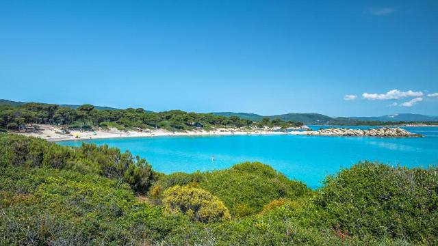 Hotel REMA Vurvuru 2024 | Letovanje Sitonija Halkidiki 2024